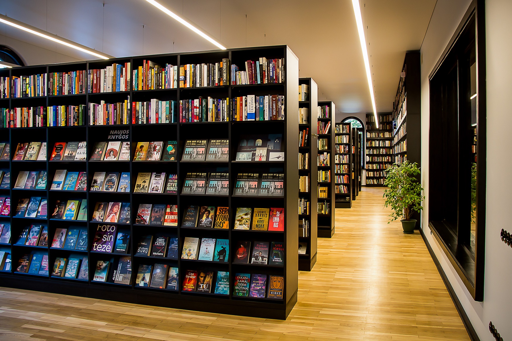 Bibliotekų savaitė Kaune: knygų pristatymai, įdomūs susitikimai ir ...