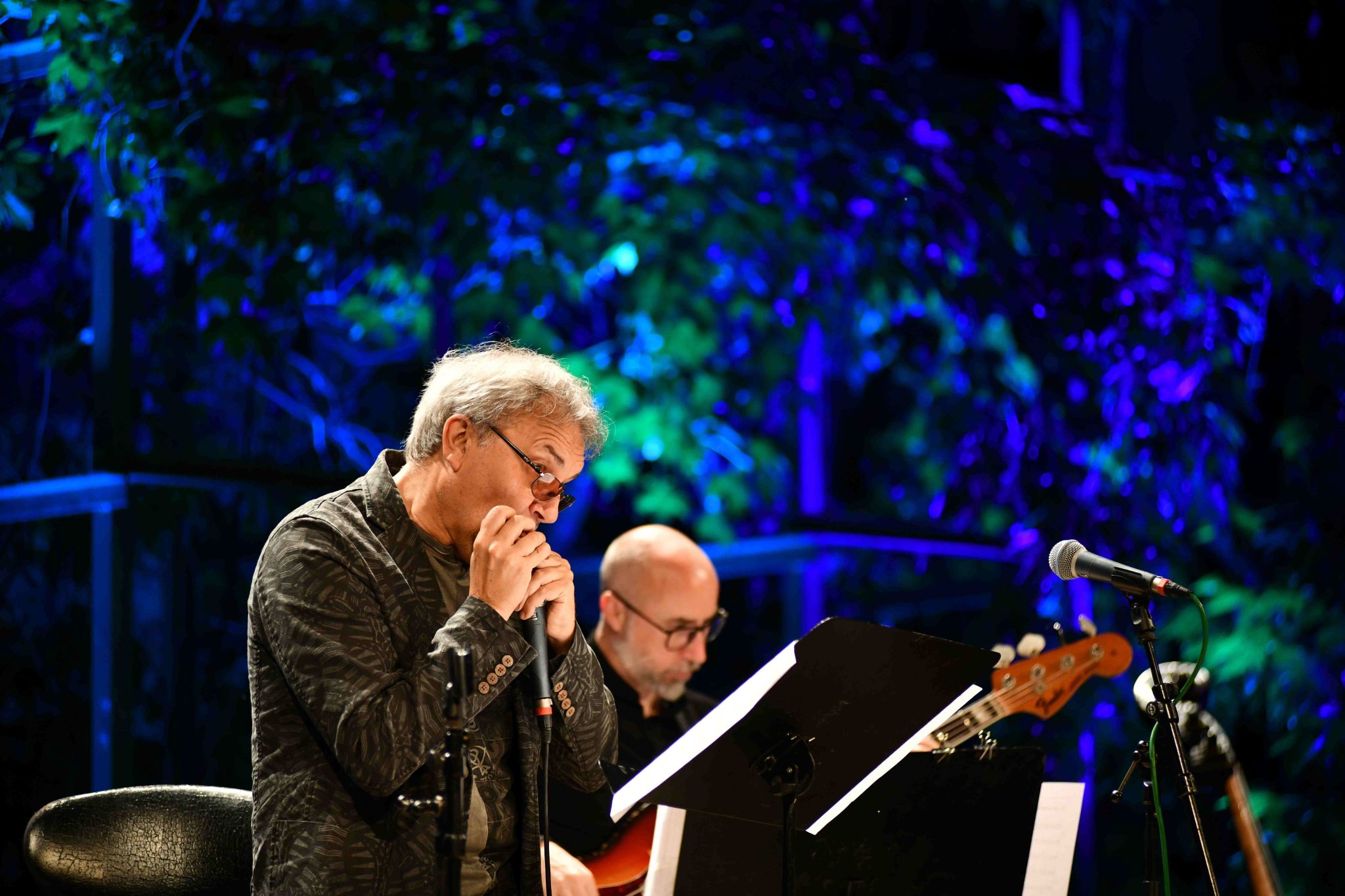 Pažaislio muzikos festivalis pristato programą: trisdešimet metų ...